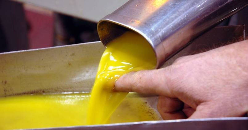 Buen inicio para la campaña oleícola: ritmo en las salidas y un precio ...