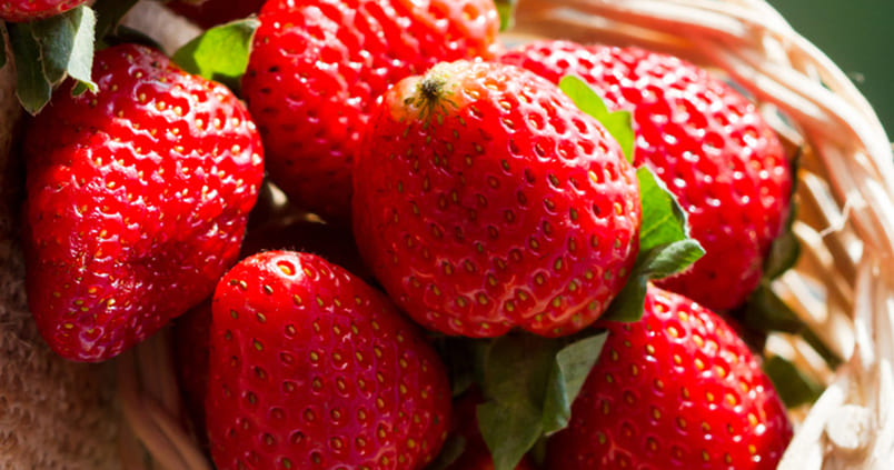 Descubren cómo producir fresas más rojas y atractivas - Agrónoma