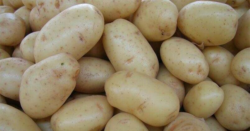 El norte de Europa y su relación con la astronómica subida de precios ...