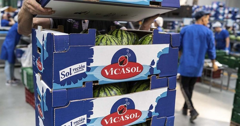 La cooperativa Vicasol supera los 240 millones de euros de facturación ...