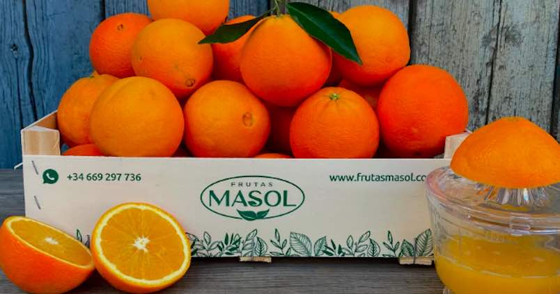 Naranjas y kumquats de la Vega del Guadalquivir a mesas de toda España ...