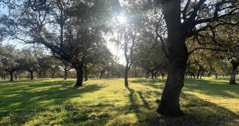 Datos procedentes de sensores para facilitar el camino hacia una ...