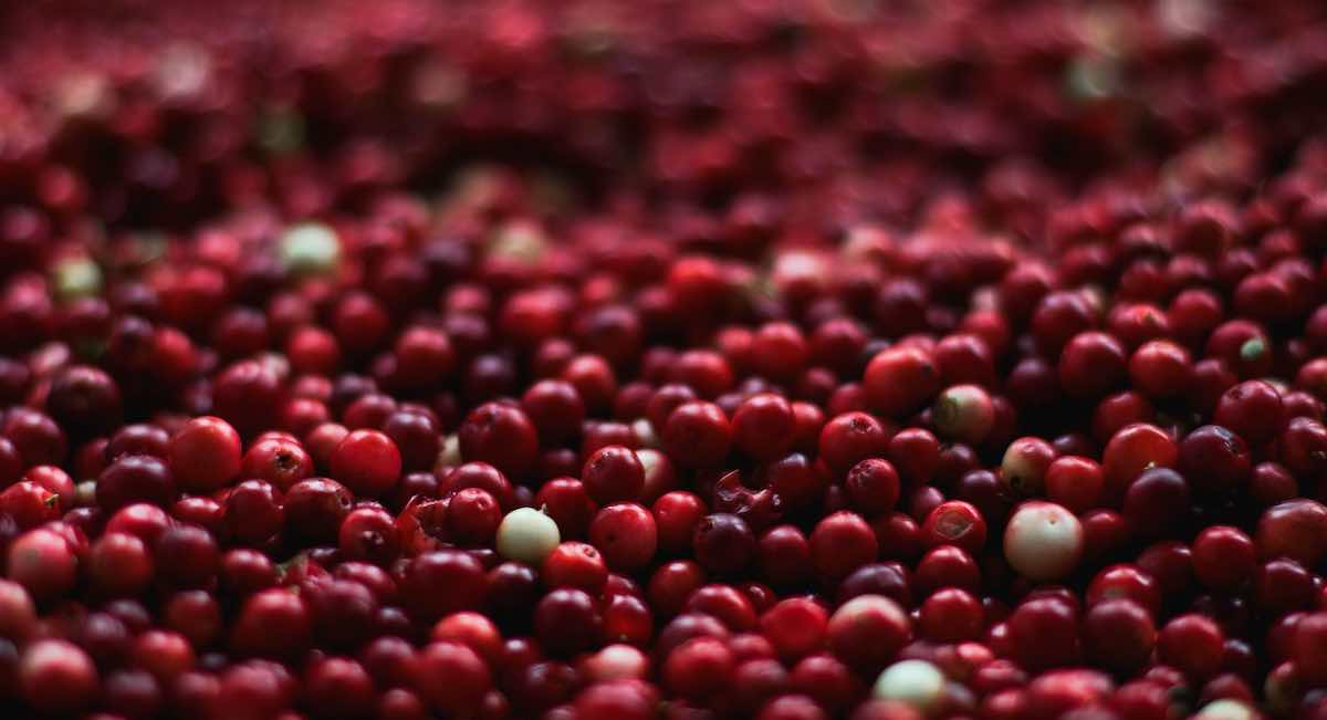 Este es el alimento clave para combatir la cistitis y las infecciones de orina que recomienda la ...