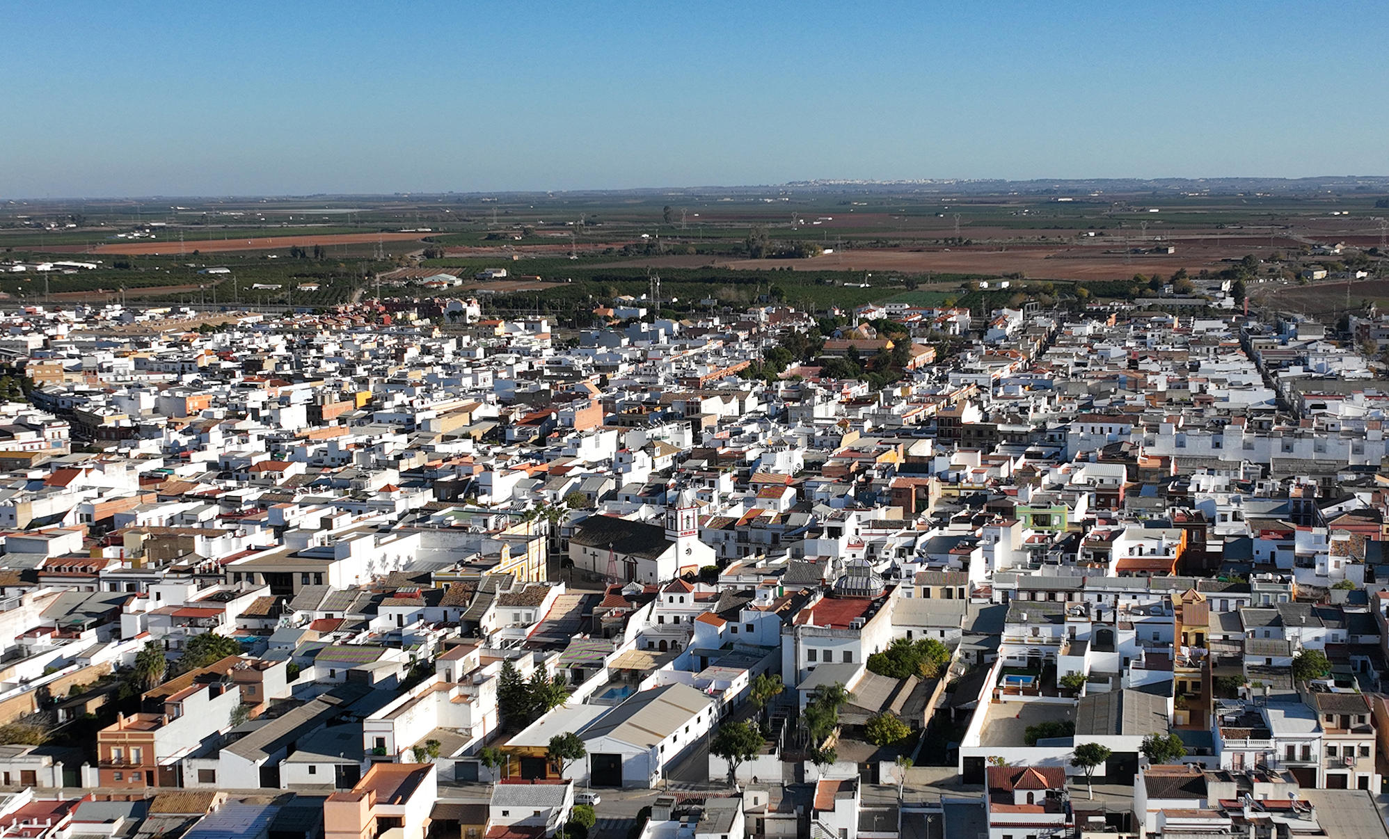 Brenes: tradiciones y naturaleza en torno al Guadalquivir - Contenido ...