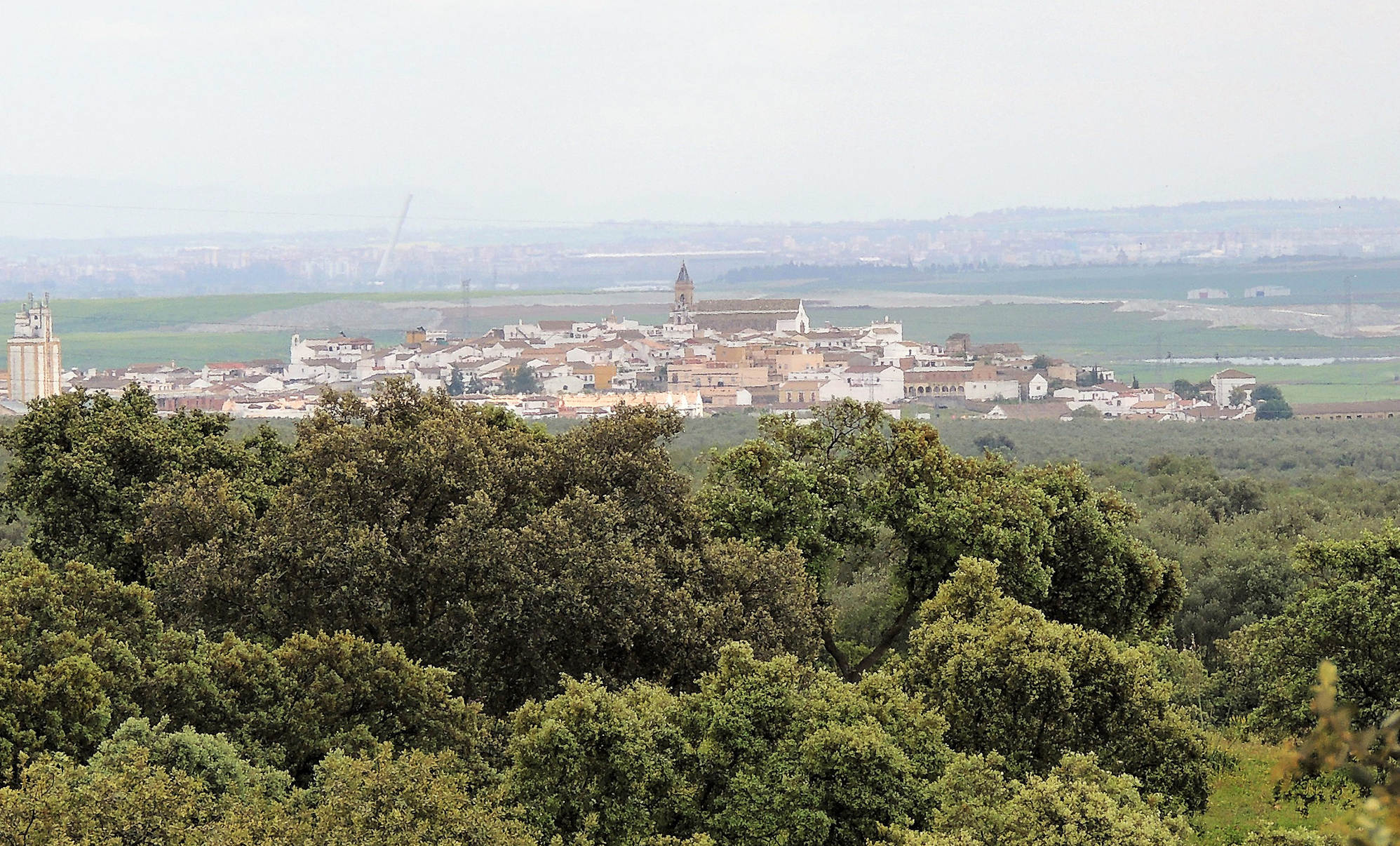 Historia, tradiciones, naturaleza y gastronomía: descubre Gerena ...