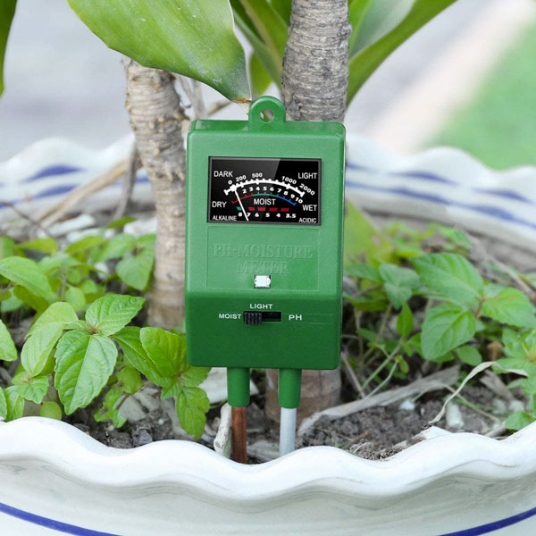 Cinco accesorios para el cuidado de plantas para principiantes